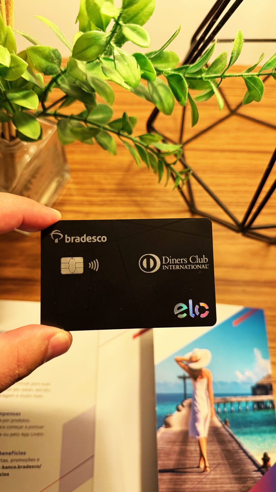 Cartão de crédito Bradesco Elo Diners Club | Cartões, Milhas e Viagens