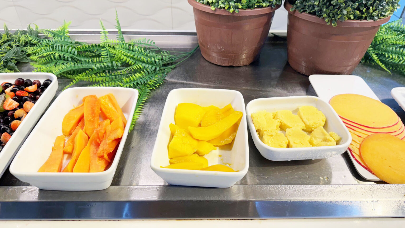 Paço Real: como comer de graça no Recife com seu cartão | Cartões ...