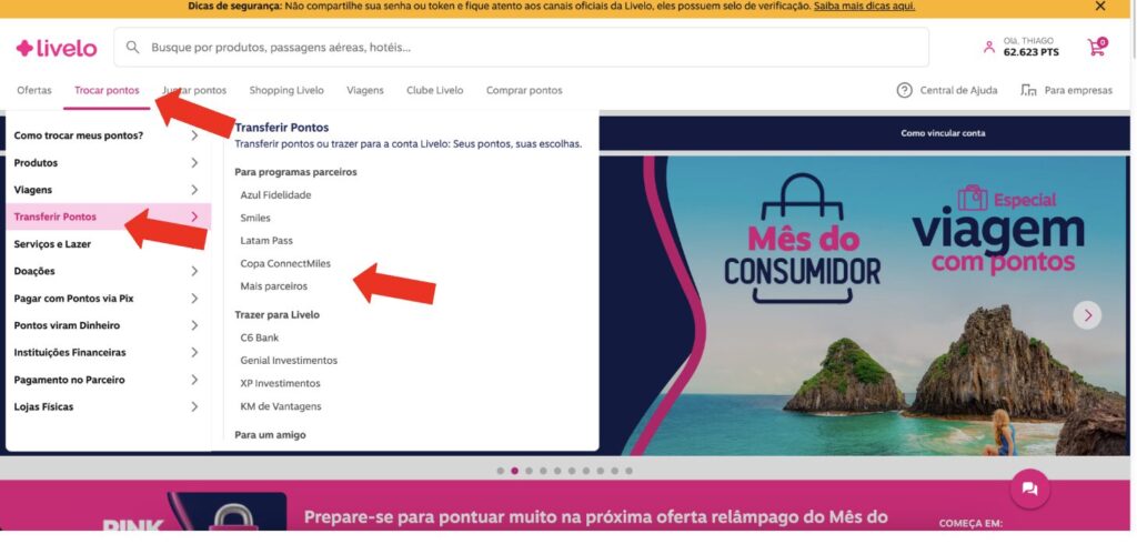 Guia Prático: como transferir pontos para programas de milhas - Cartões ... Guia Prático: como transferir pontos para programas de milhas - Cartões ...